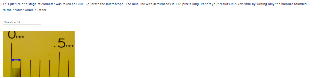 Solved This picture of a stage micrometer was taken at 100x. | Chegg.com