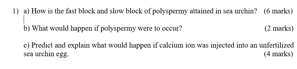 Solved 1) a) How is the fast block and slow block of | Chegg.com