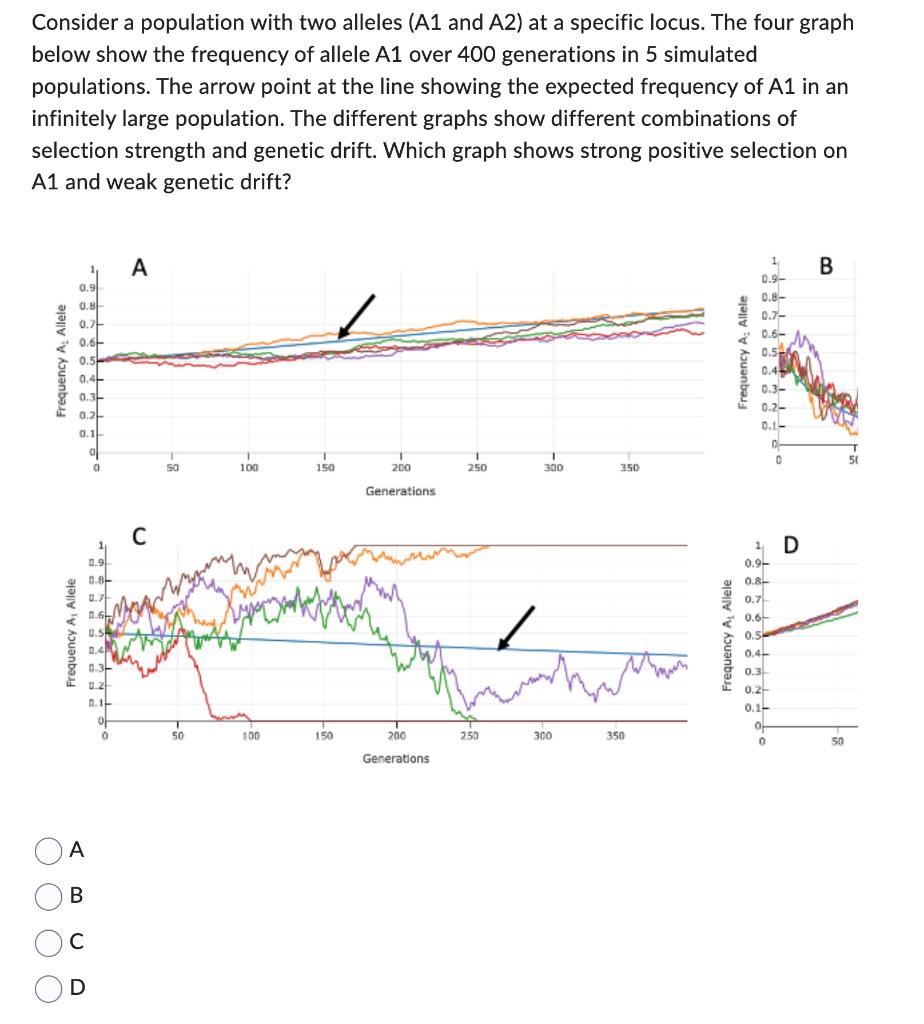 Solved Consider a population with two alleles (A1 and A2 ) | Chegg.com