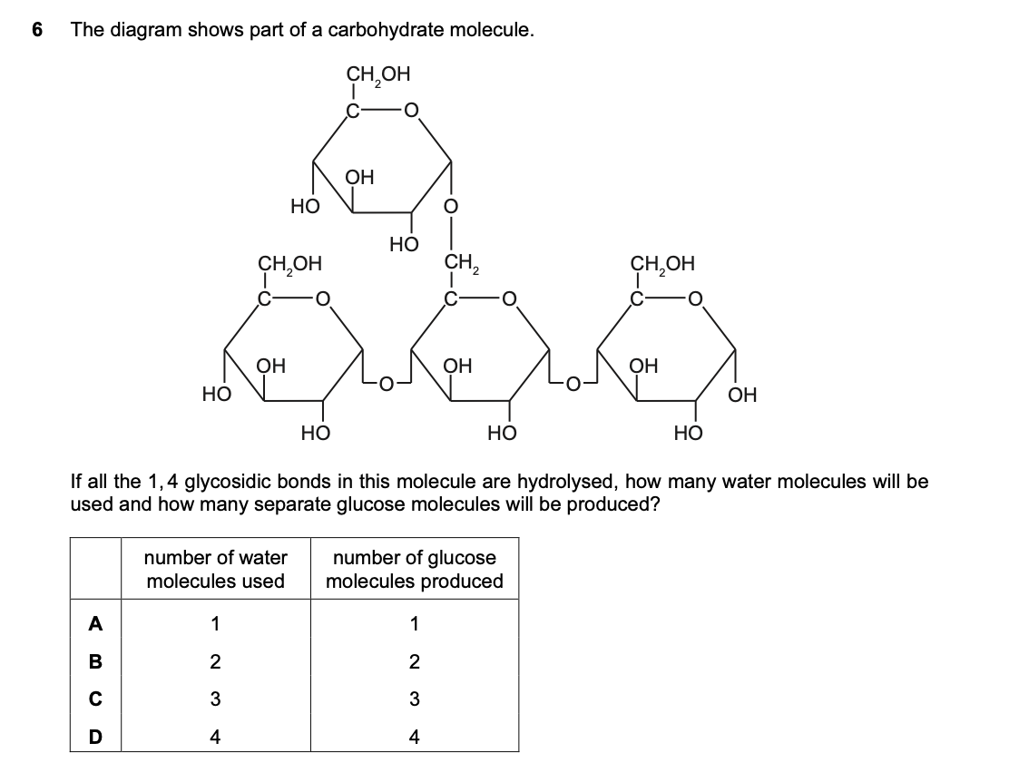 Carbohydrates Diagram Of Molecule