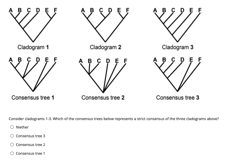 Solved Ç D E F A B C D E F E F Cladogram 1 Cladogram 2 | Chegg.com