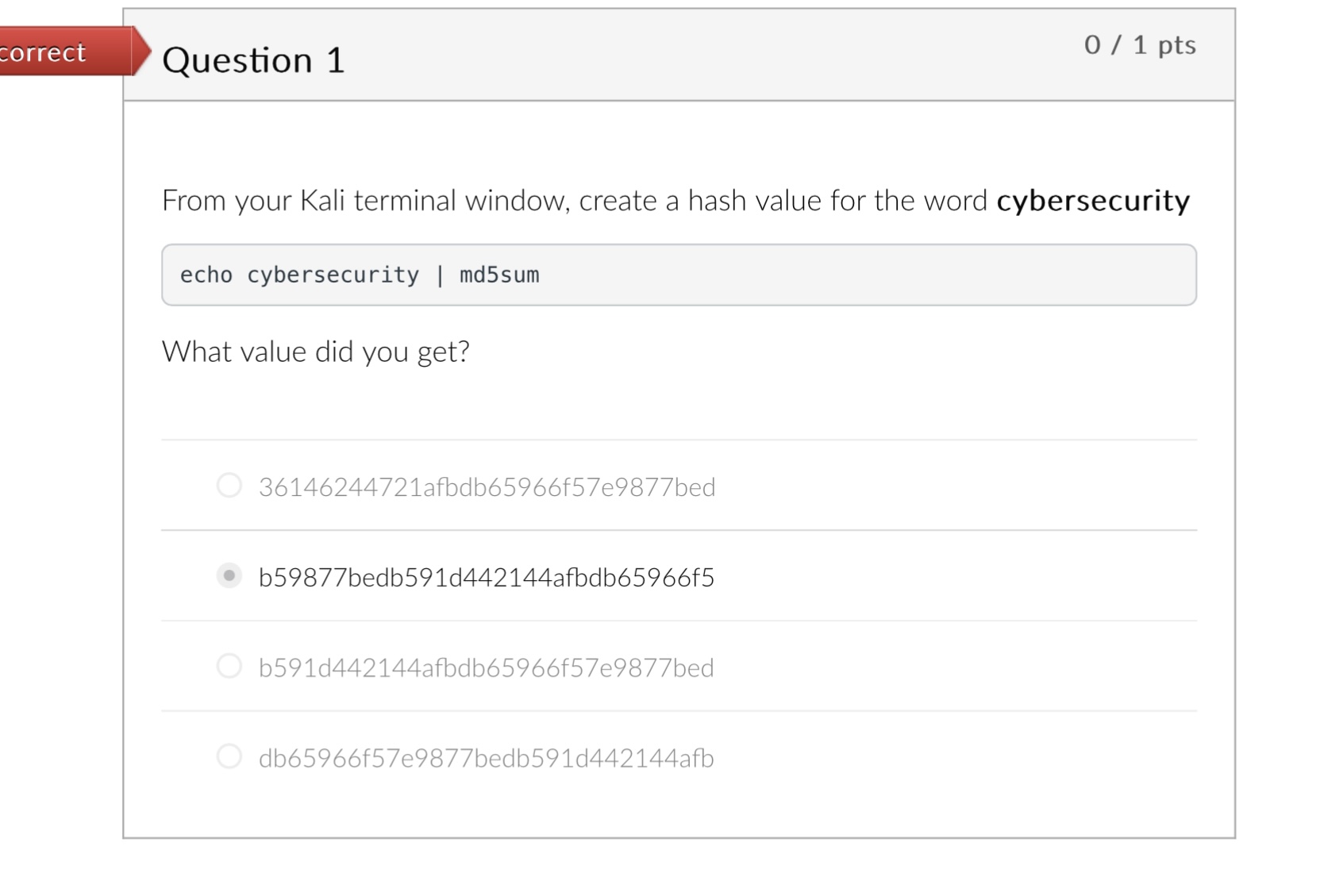 Solved From your Kali terminal window, create a hash value | Chegg.com