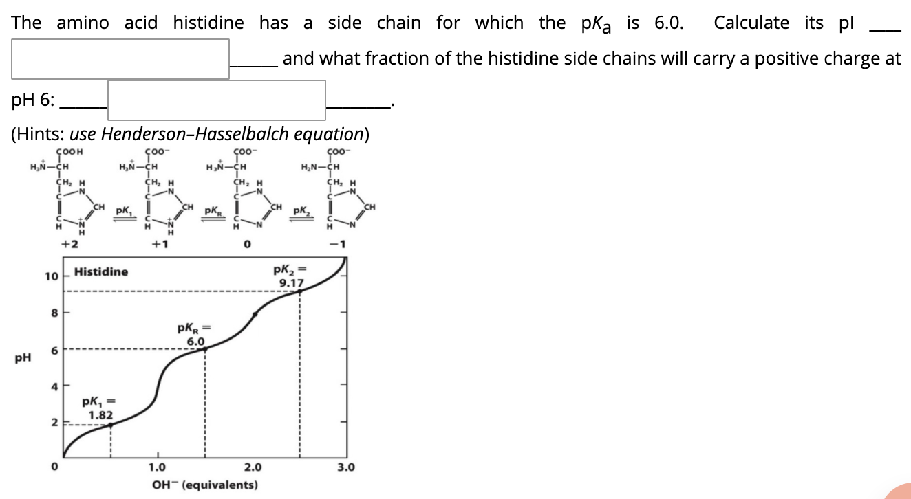 Solved The amino acid histidine has a side chain for which | Chegg.com