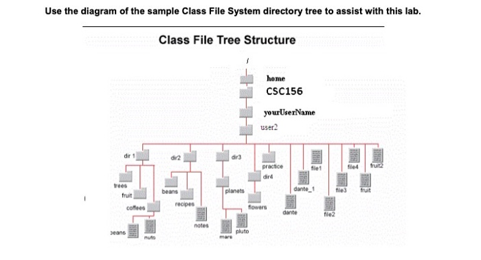 Use the diagram of the sample Class File System | Chegg.com