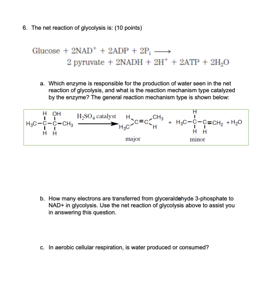 Solved 6. The net reaction of glycolysis is: (10 points) | Chegg.com
