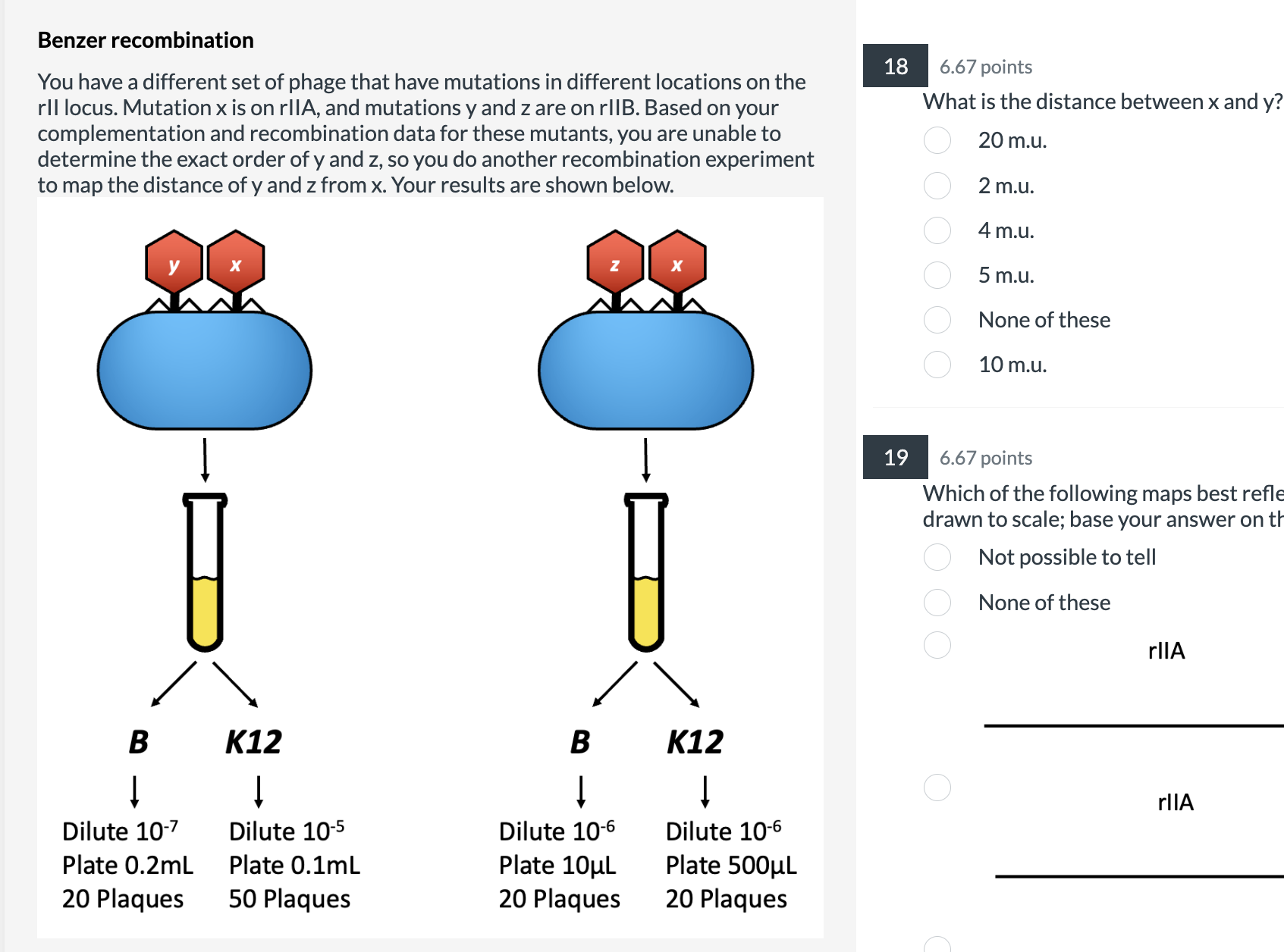 Solved Benzer recombination You have a different set of | Chegg.com