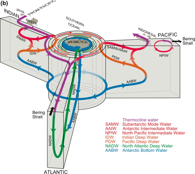 The above schematic of the global Meridional | Chegg.com