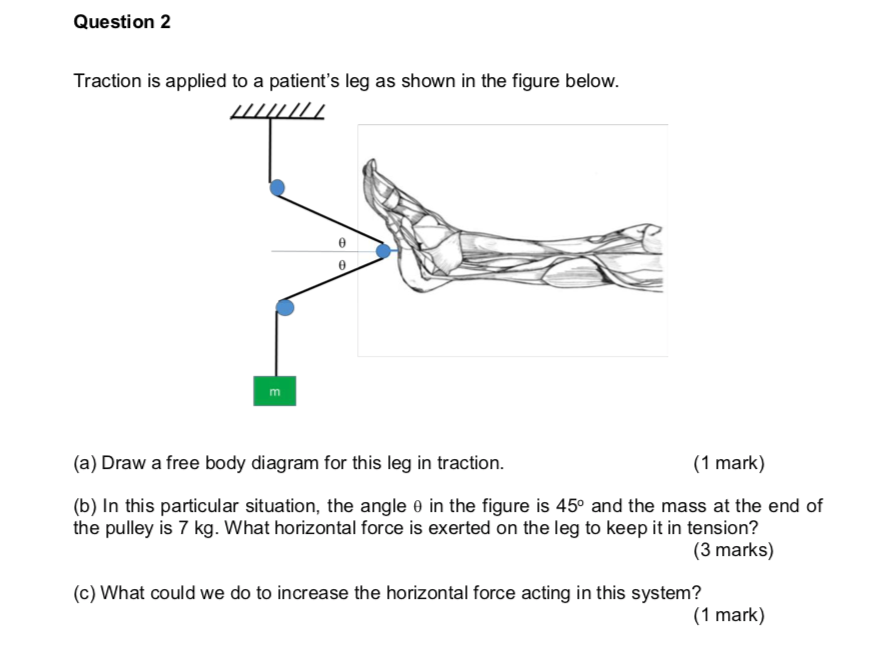 Solved Question 2 Traction is applied to a patient's leg as | Chegg.com