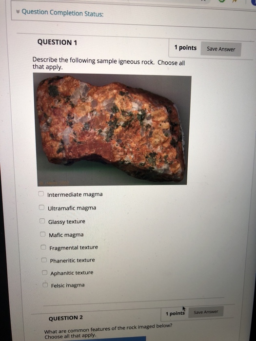 Solved Question Completion Status: QUESTION 1 1 points Save | Chegg.com