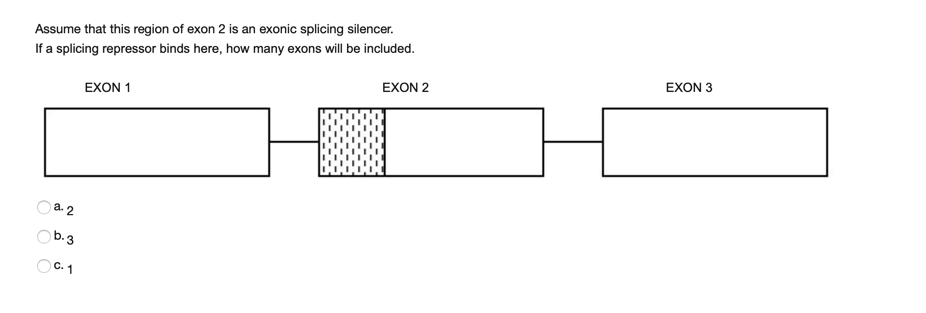 Solved Assume that this region of exon 2 is an exonic | Chegg.com