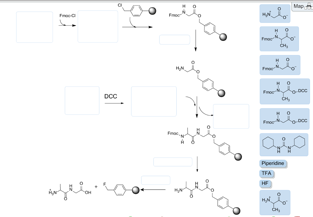 The Merrifield synthesis of a peptide simplifies | Chegg.com