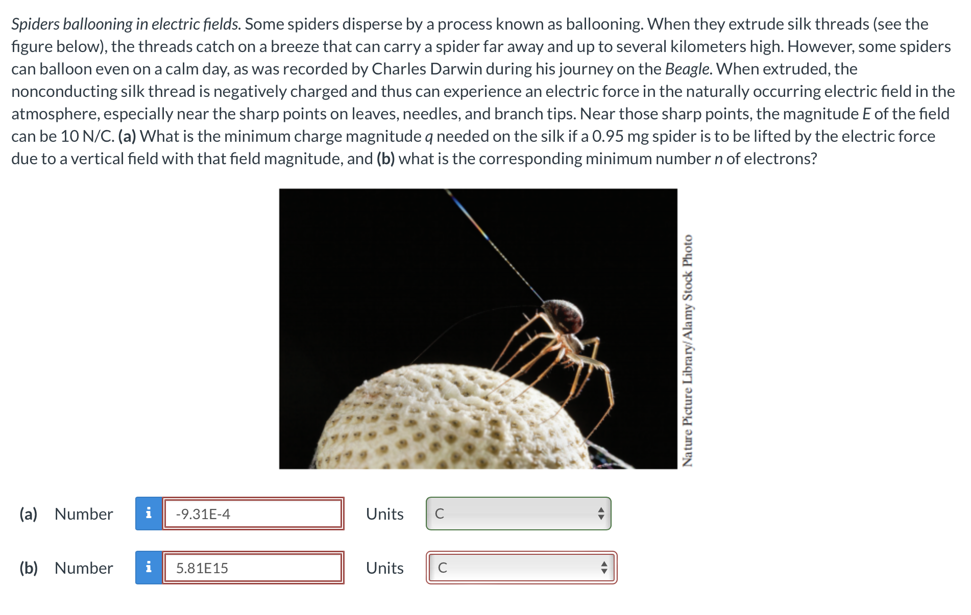 Solved Spiders ballooning in electric fields. Some spiders | Chegg.com