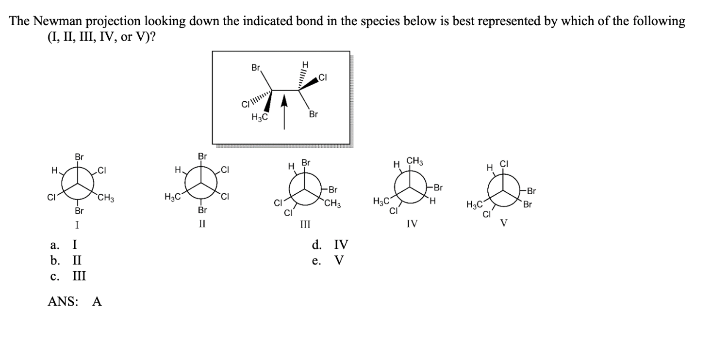 Solved The Newman projection looking down the indicated bond | Chegg.com