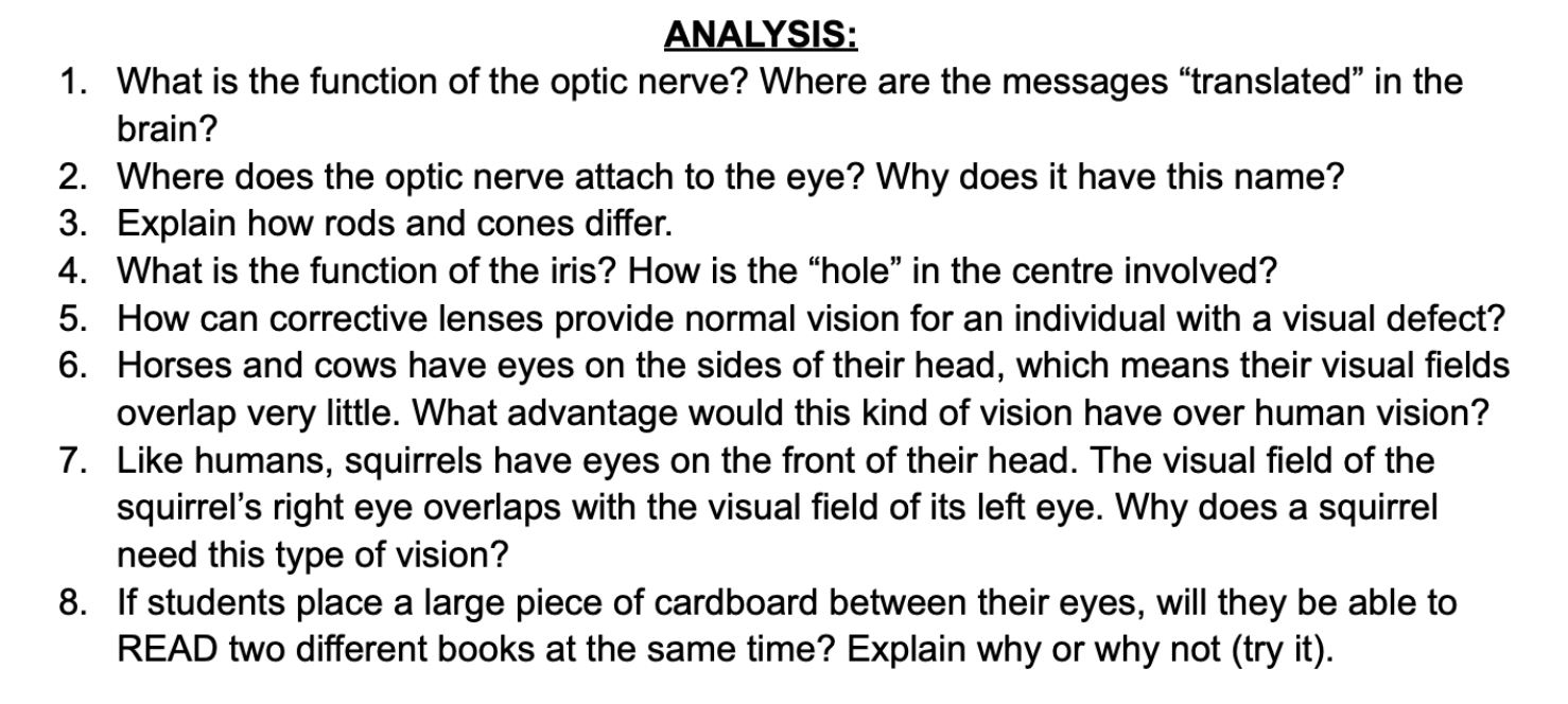 Solved ANALYSIS: 1. What is the function of the optic nerve? | Chegg.com