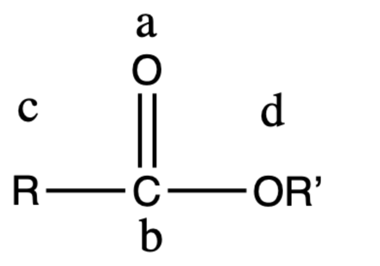 Solved 1) Which letter, in the diagram below, represents the | Chegg.com