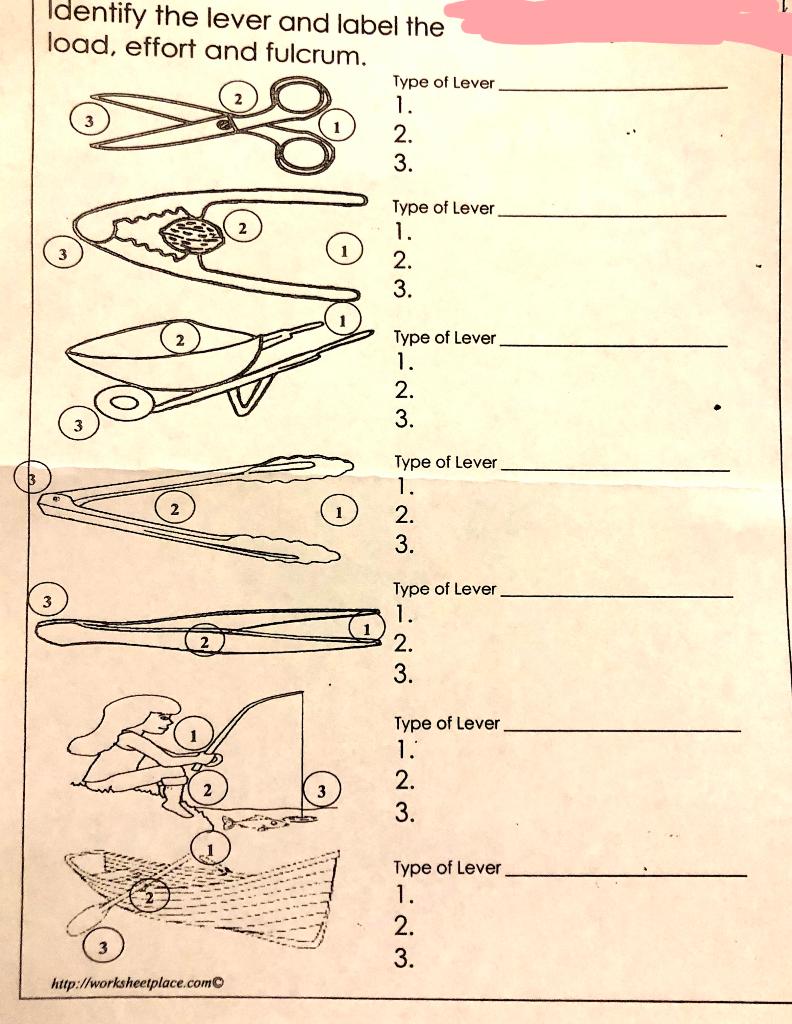 Solved Identify the lever and label the load, effort and | Chegg.com