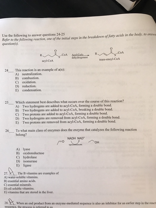 Solved Use the following to answer questions 24-25 breakdown | Chegg.com