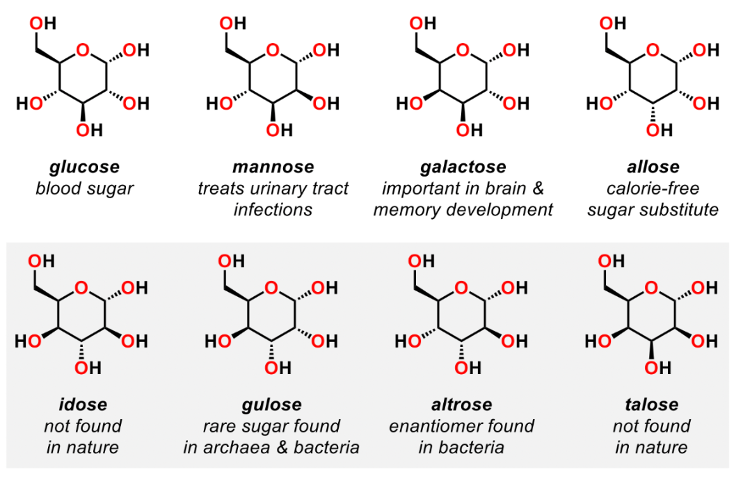 Solved glucose mannose galactose allose blood sugar treats | Chegg.com