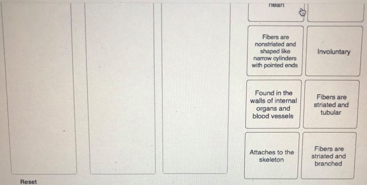 Solved Classify the following descriptions based o the type | Chegg.com