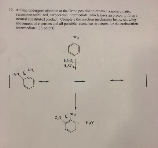 Solved 12. Aniline undergoes nitration at the Ortho position | Chegg.com