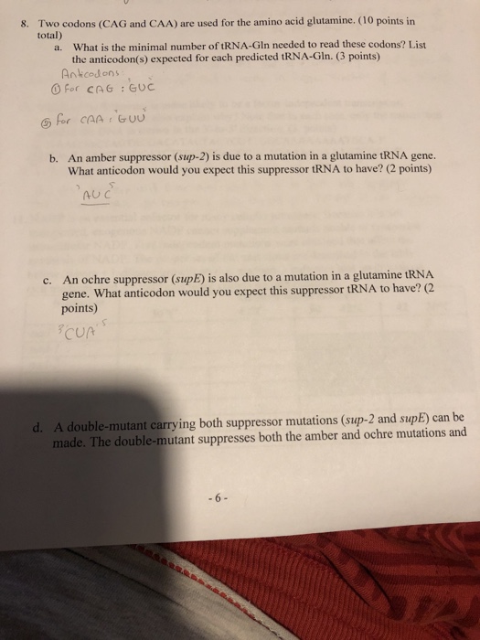 Solved Two codons (CAG and CAA) are used for the amino acid | Chegg.com
