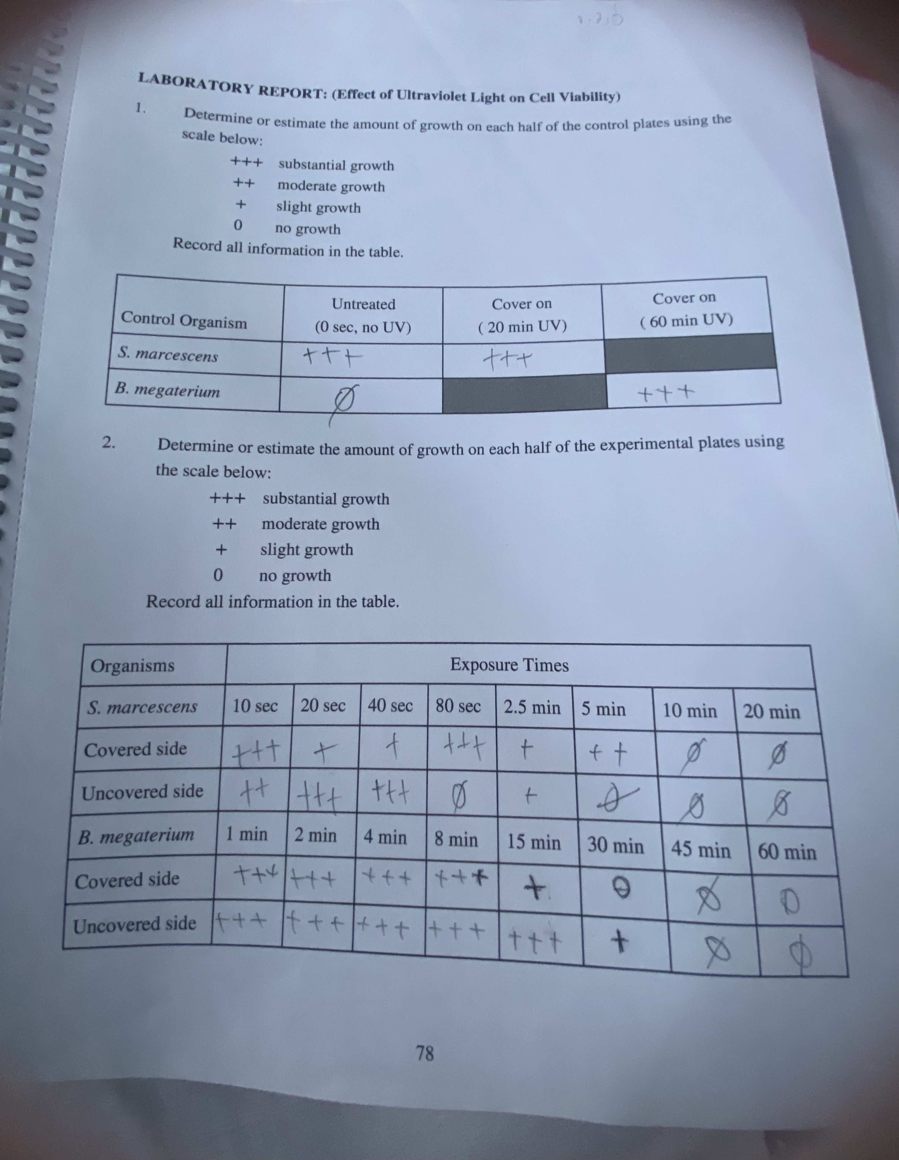 Solved LABORATORY REPORT: (Effect of ﻿Ultraviolet Light on | Chegg.com