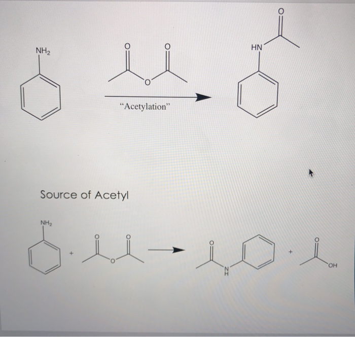 Solved HN NH2 Acetylation" Source of Acetyl NH2 OH | Chegg.com