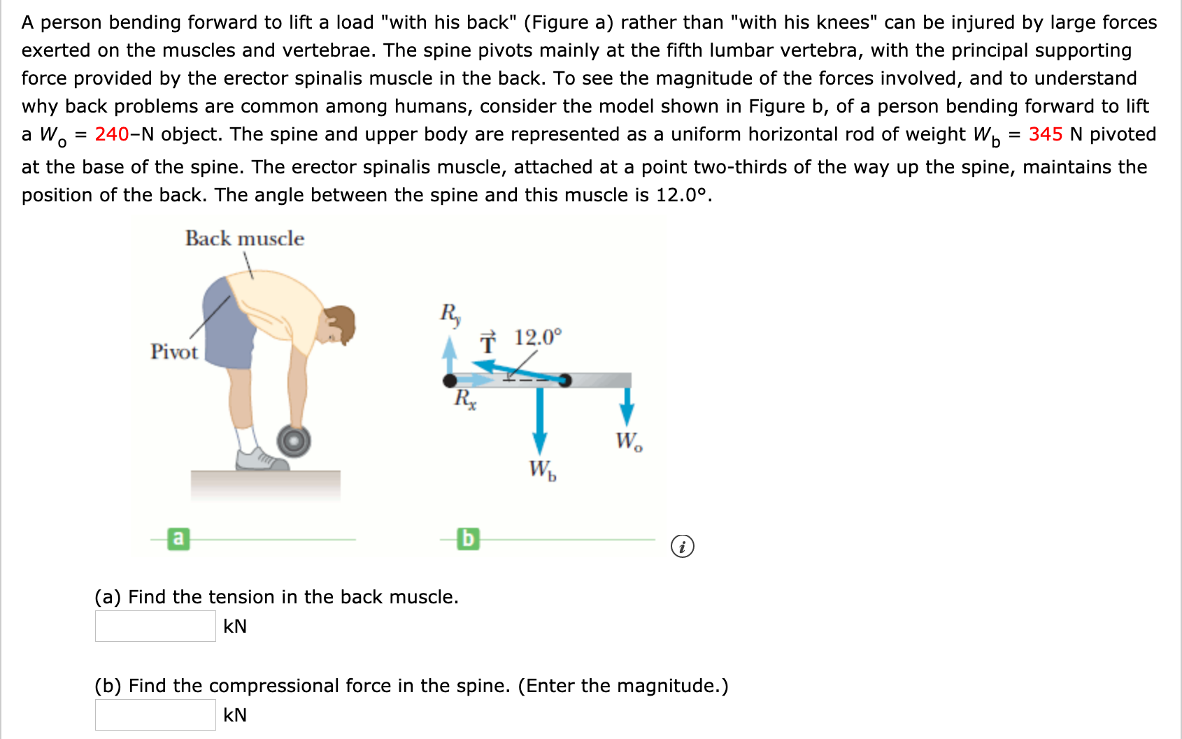 Solved A person bending forward to lift load "with his back" | Chegg.com