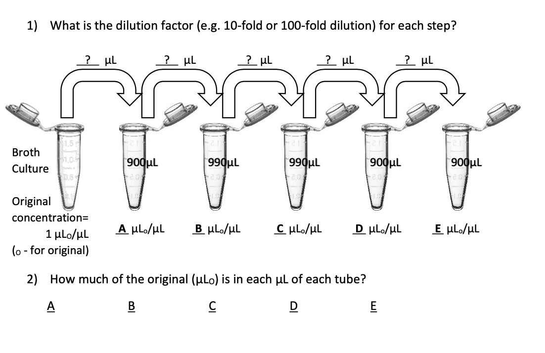 Solved 1) What is the dilution factor (e.g. 10-fold or 100 | Chegg.com