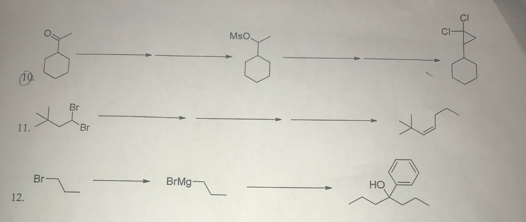 Solved Cl Cl Br Br BrMg 12. | Chegg.com