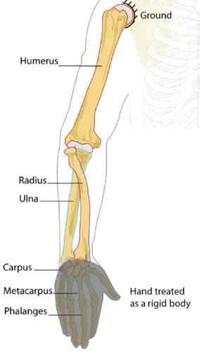 Solved Part 1: How many degrees of freedom does a typical | Chegg.com