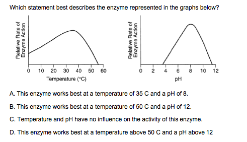 Solved Which statement best describes the enzyme represented | Chegg.com