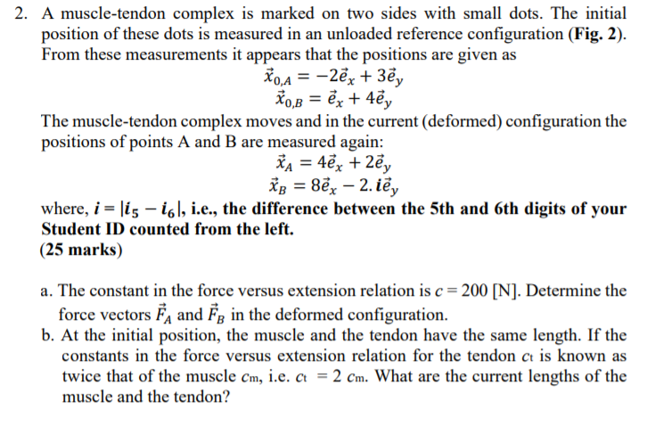 Solved A muscle-tendon complex is marked on two sides with | Chegg.com
