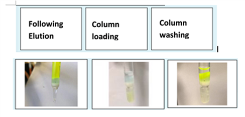 Solved Place the steps of affinity Chromatography in order | Chegg.com