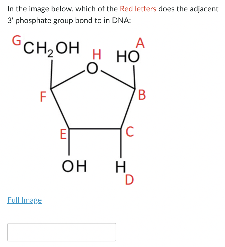 Solved Below is a list of reagents. Which of the | Chegg.com