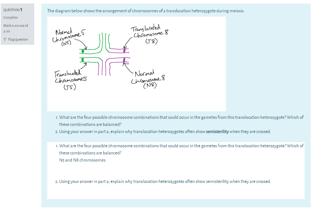Solved What are the four possible chromosome combinations | Chegg.com