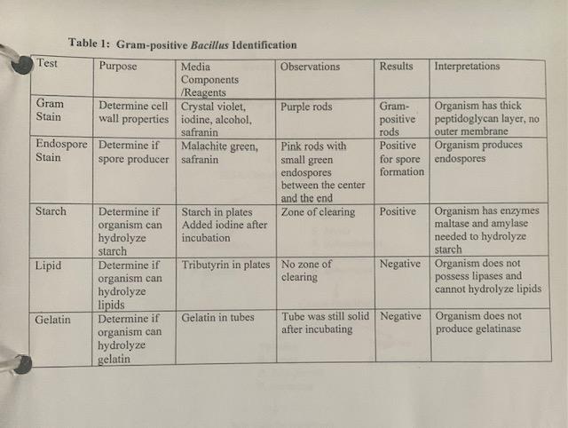I need help writing an unknown lab report. The | Chegg.com