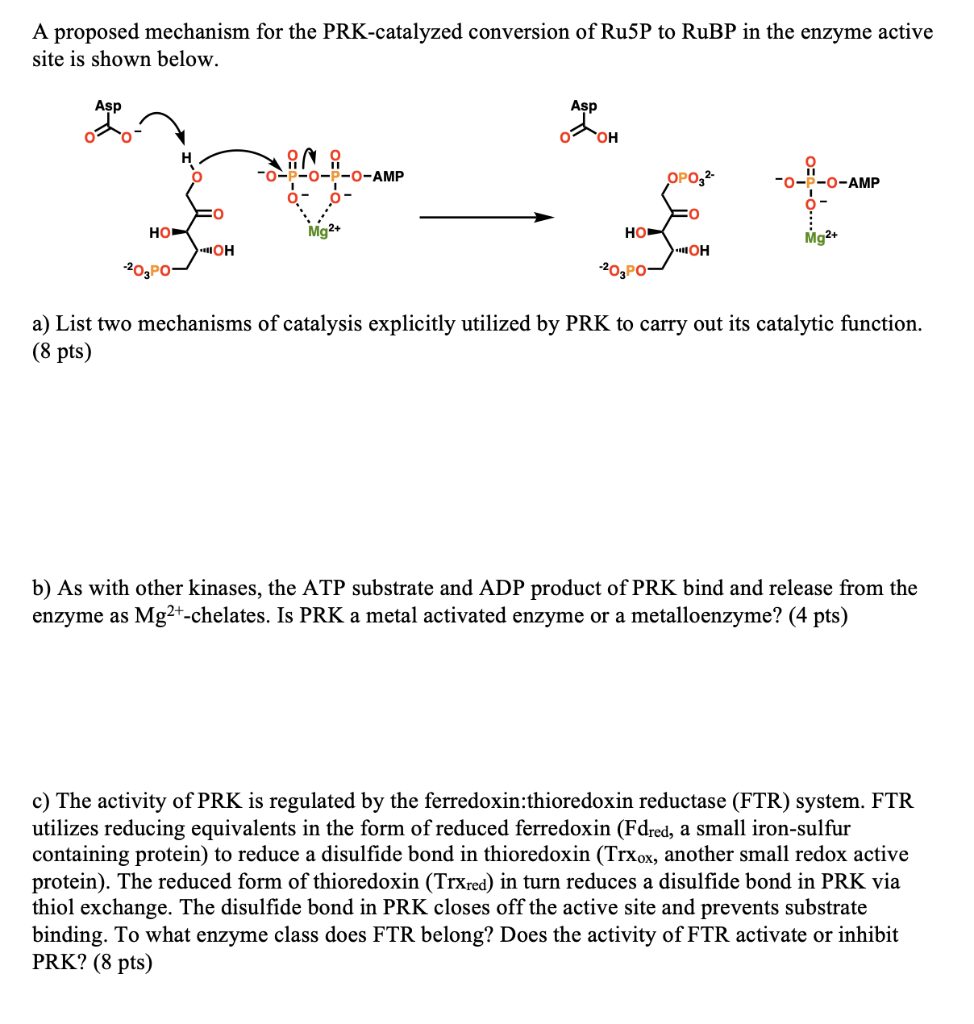 A proposed mechanism for the PRK-catalyzed conversion | Chegg.com