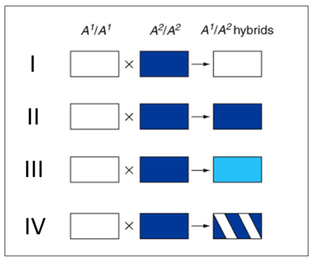 Solved The following diagram illustrates several inheritance | Chegg.com