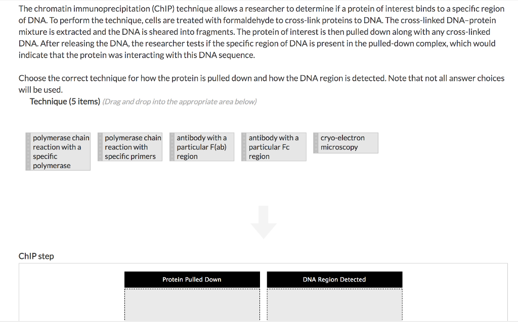 Solved The chromatin immunoprecipitation (ChIP) technique | Chegg.com