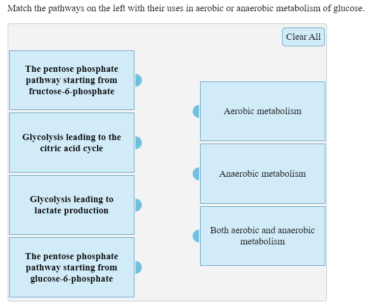 Anaerobic Metabolism Vs Aerobic Metabolism