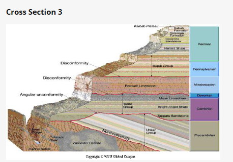 Solved Cross Section 1 .Surface of Earth Shale Sandstone X | Chegg.com