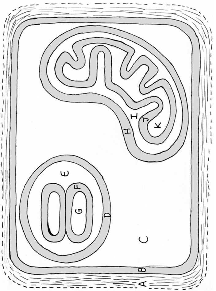 Solved Label each letter in this illustration of the | Chegg.com