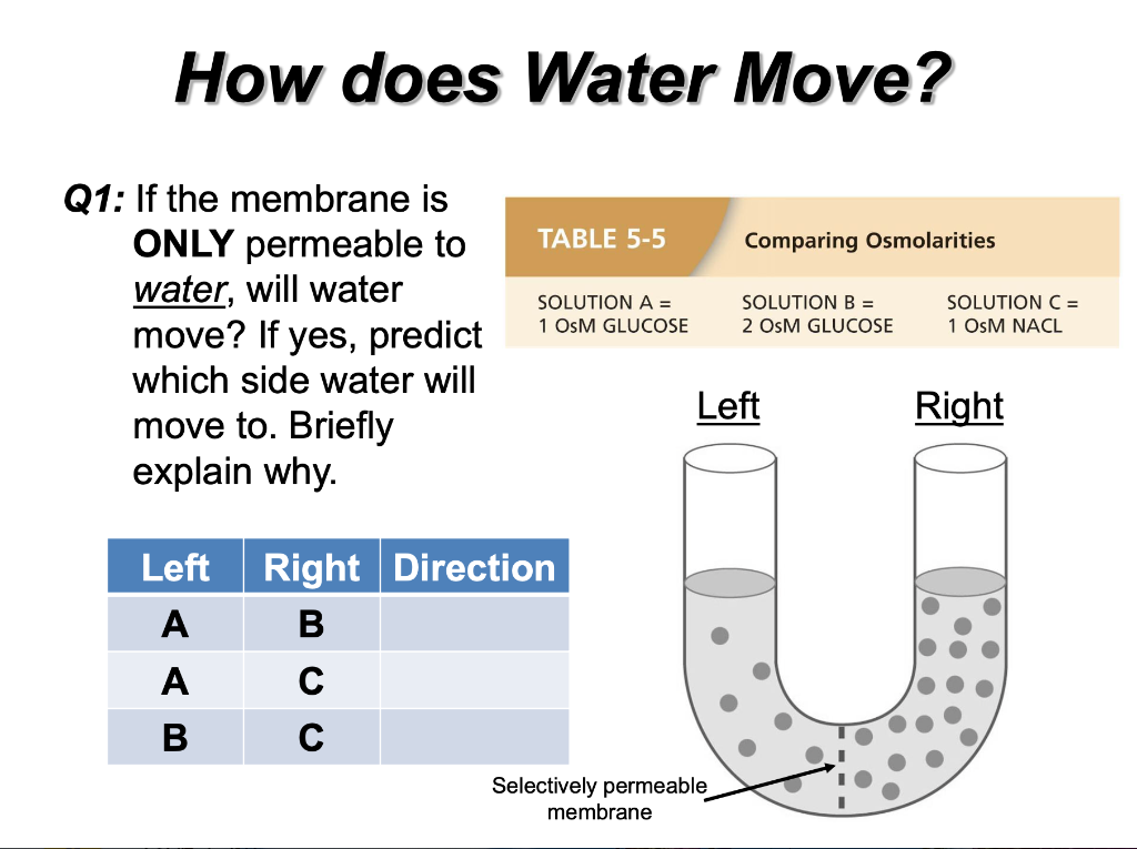 Solved How does Water Move? TABLE 5-5 Comparing Osmolarities | Chegg.com