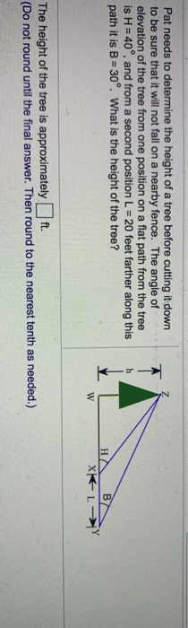 Solved Pat needs to determine the height of a tree before | Chegg.com