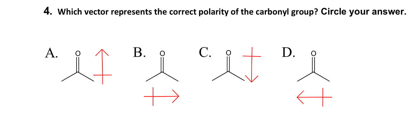 Solved Which vector represents the correct polarity of the | Chegg.com