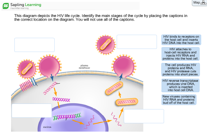 Solved: Map Det Mapoob Sapling Learning Macmillan Learning... | Chegg.com