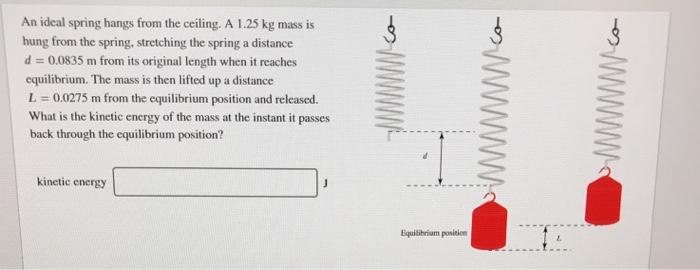 Solved An ideal spring hangs from the ceiling. A 1.25 kg | Chegg.com