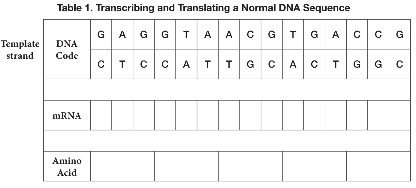 Solved Table 1. Transcribing and Translating a Normal DNA | Chegg.com