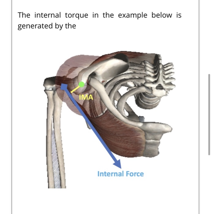 Solved The internal torque in the example below is generated | Chegg.com